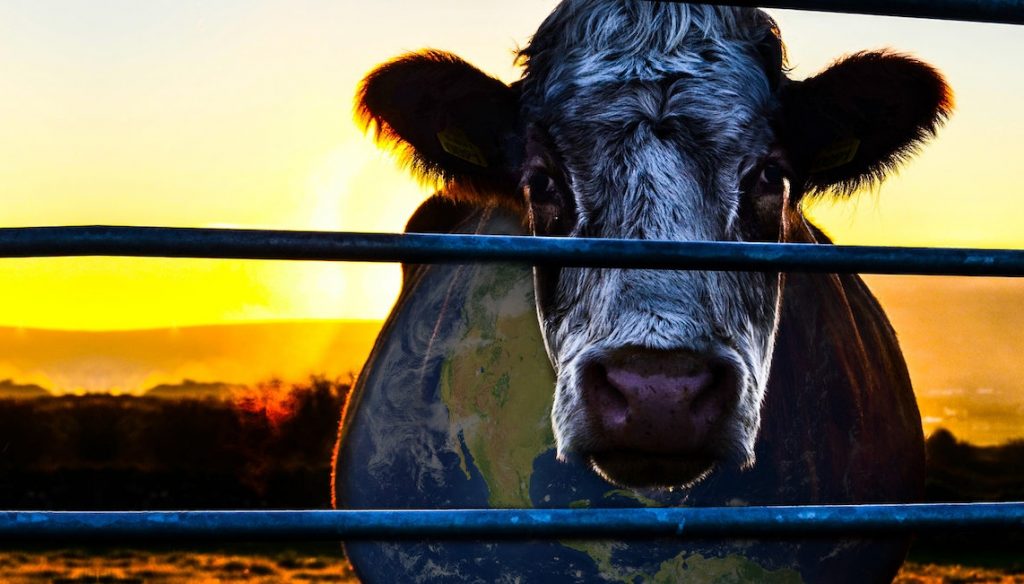 3 documentários que farão você pensar sobre a causa animal | Te Protejo ...