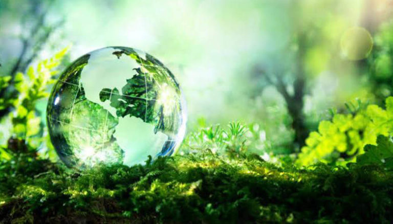 ¿Qué es la sustentabilidad y cuál es su importancia? | Te Protejo México