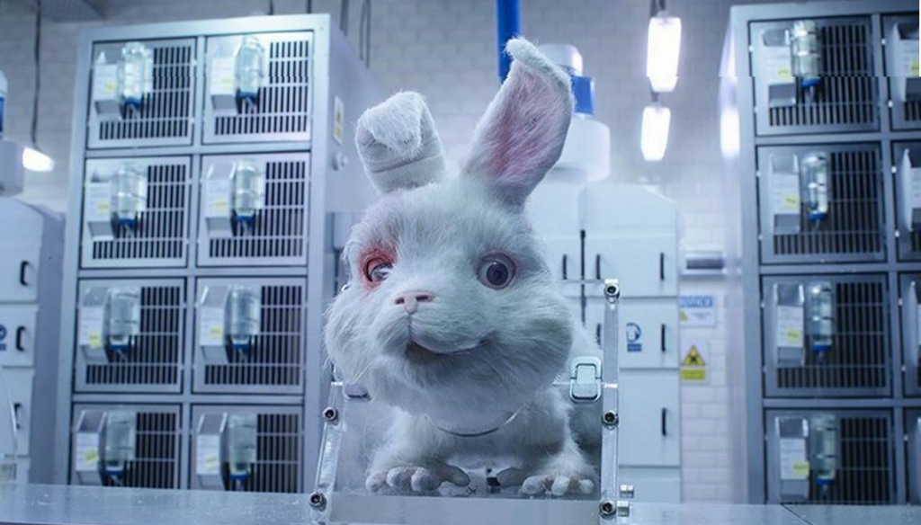 ¿Cuál es la prueba que le hacen a Ralph? | Te Protejo México