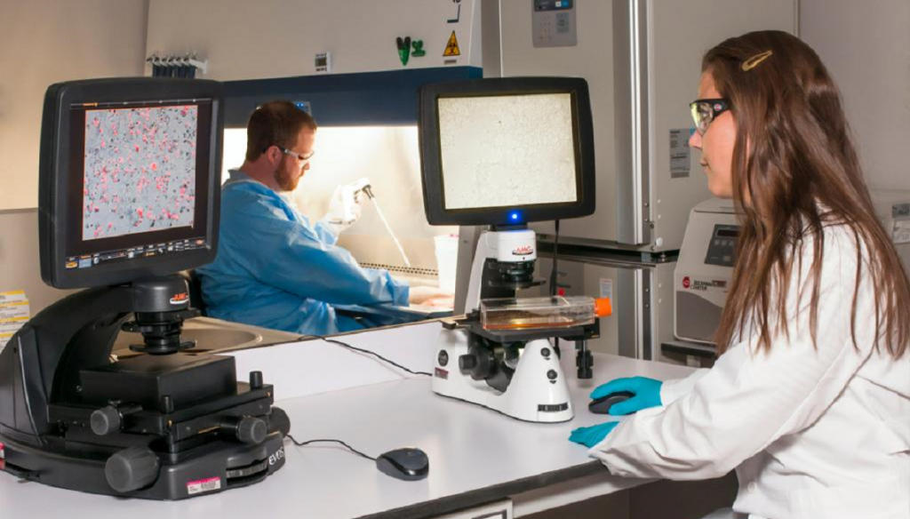 Cultivos celulares como pruebas alternativas al uso de animales | Te Protejo México