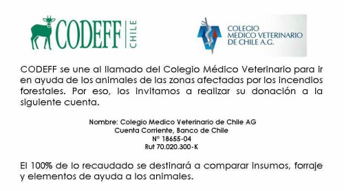 Los animales necesitan tu donación ¡Ahora! Campaña CODEFF por incendios ...
