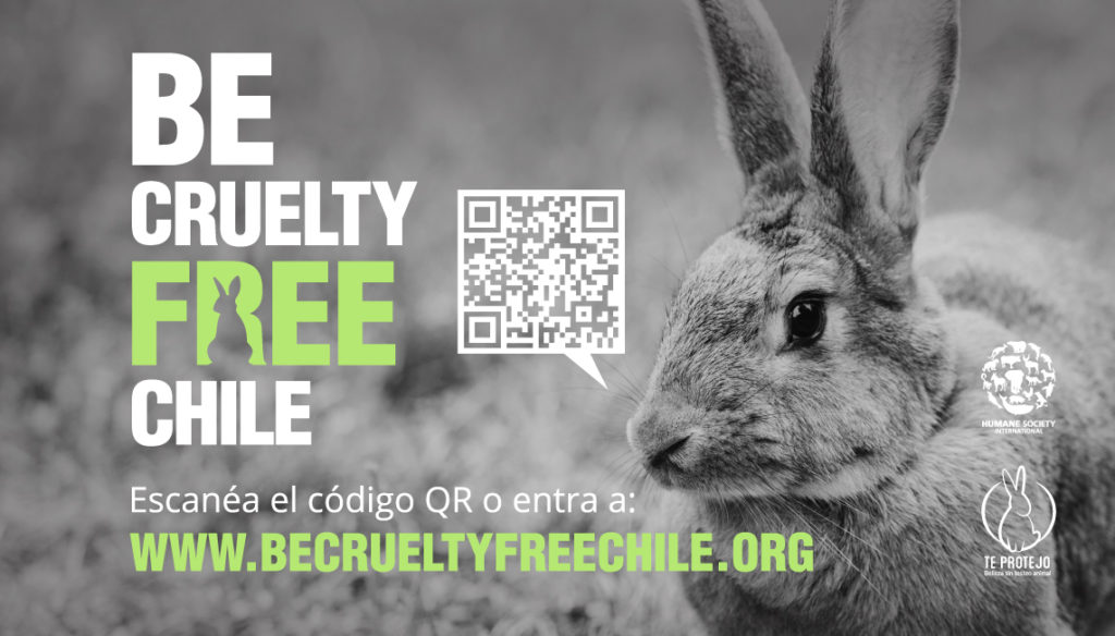 Un 74% de los chilenos rechaza la realización de pruebas en animales en ...