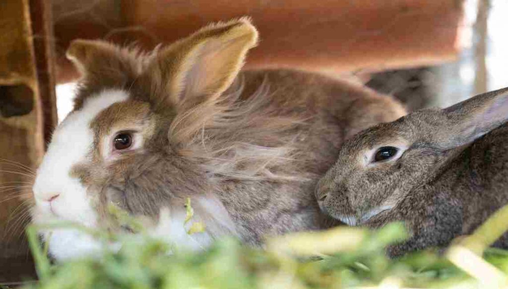 Measuring Our Impact: How Te Protejo’s Impact Tracker Works | Te ...